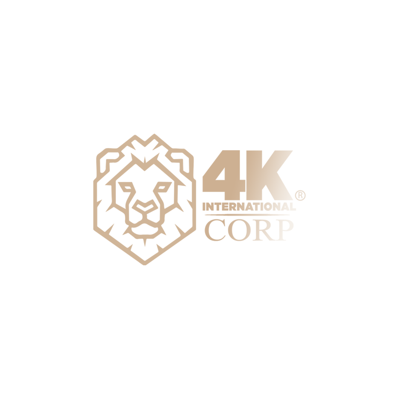 Landing Chat GPT – 4k Corp